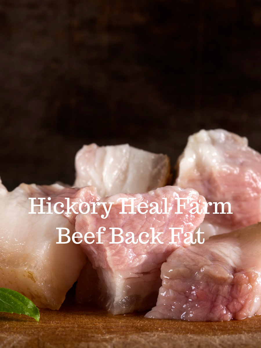 Grass-Fed Beef Fat – Nutrient-Dense Cooking Oil » Hickory Heal Farm